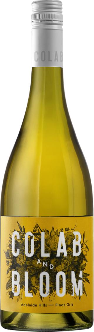 Colab and Bloom Pinot Gris 2021 - The Real Review