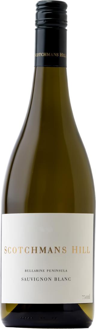 Scotchmans Hill Sauvignon Blanc 2021 - The Real Review