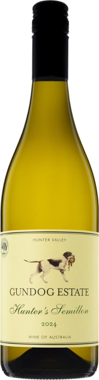 Gundog Estate Hunter's Semillon 2024 - The Real Review
