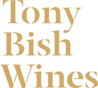 Tony Bish - The Real Review