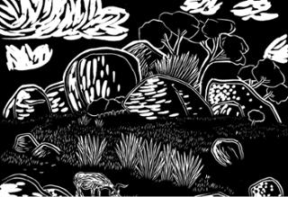 Joshua Cooper Wines's scorecard - The Real Review